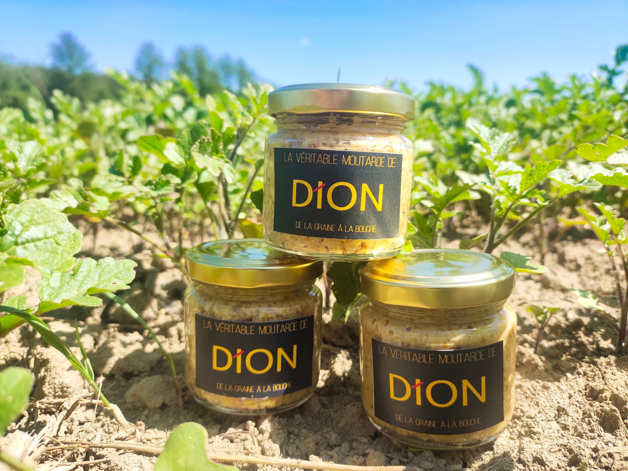 La Moutarde de Dion - Office du tourisme de Beauraing
